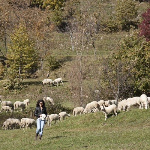 Stream Barbara Maffei - ad Apella le tradizioni sono vive by Trame di ...