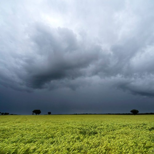 Llover