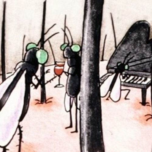 Stream The Black Fly Song by Cypress Choral Music | Listen online for ...