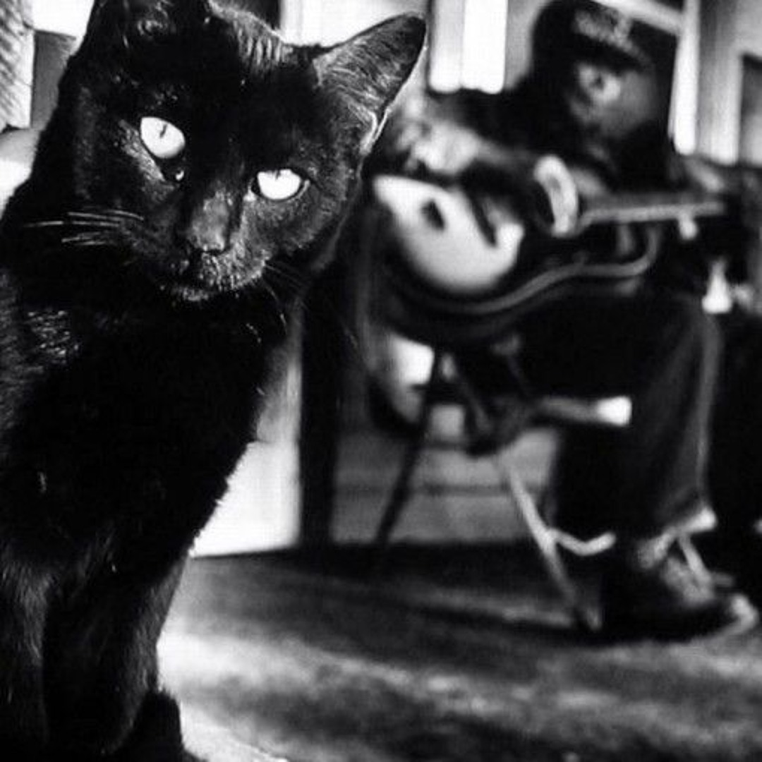 Stream Tony Cat Blues by Tony | Listen online for free on SoundCloud