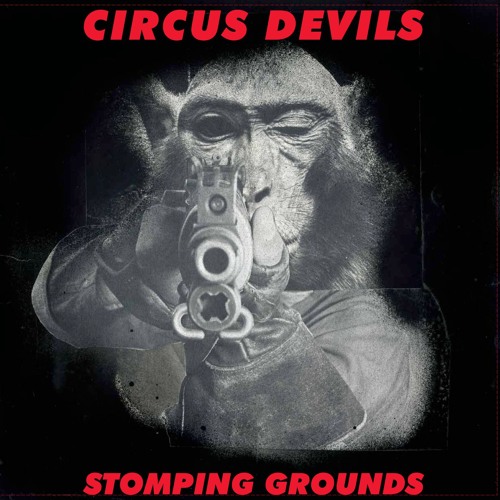 Stream SUNFLOWER WILDMAN (Remember Him?) by Circus Devils | Listen ...