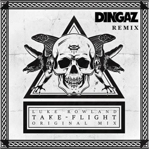 Stream Luke Rowland - Take Flight (Dingaz Remix)DL IN DESCRIPTION by ...