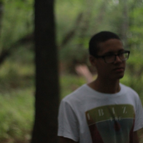 Stream TylerMajor | Listen to Tyler Major 2015 playlist online for free ...