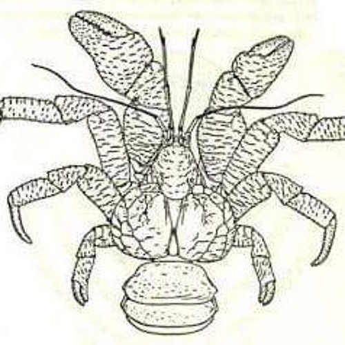 Stream CHA-NIN-WAY ~ Jan̄ Im̗ Illu (DJ NEX REMIX) by Kejen Weto ...