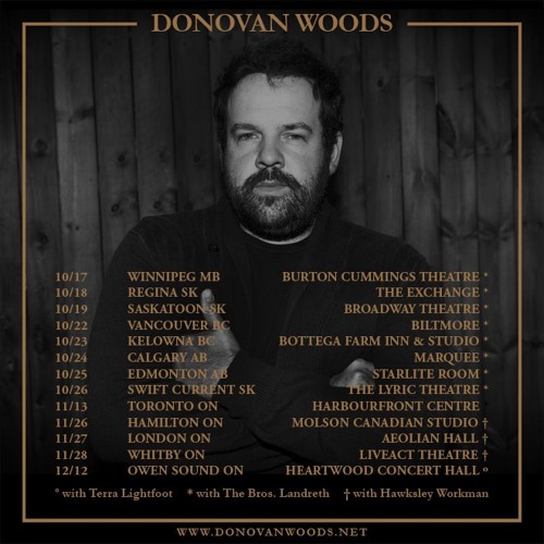 Stream It Just Got Weird - Donovan Woods & Robyn Dell'Unto by ...