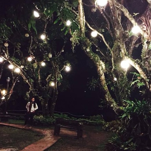 Stream Last Kiss by Taylor Swift (Cover By Sam Paulino) by Sam Paulino | Listen online for free ...