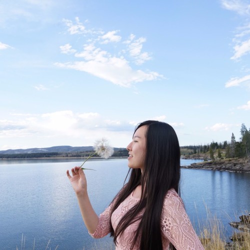 Stream Sophie Theme music by Keyu Liu | Listen online for free on ...