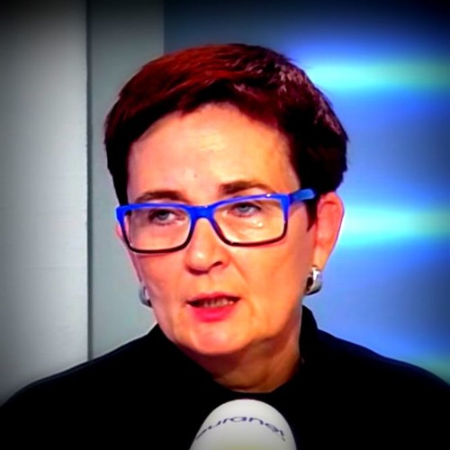 Stream MEP Birgit Sippel explaining EU Court Safe harbour rulings means Charta of Fundamental ...