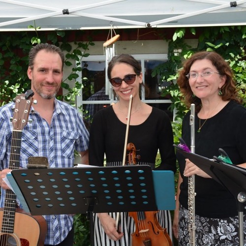 Stream 08- Spanish Lady.WAV by Steven Toole | Listen online for free on ...