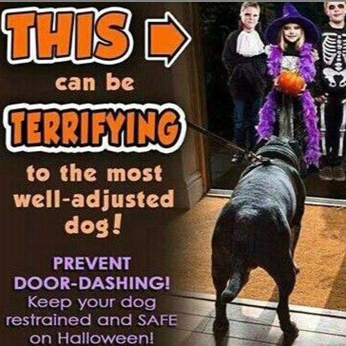 Stream Halloween by Tony Knight Dog Listener | Listen online for free ...