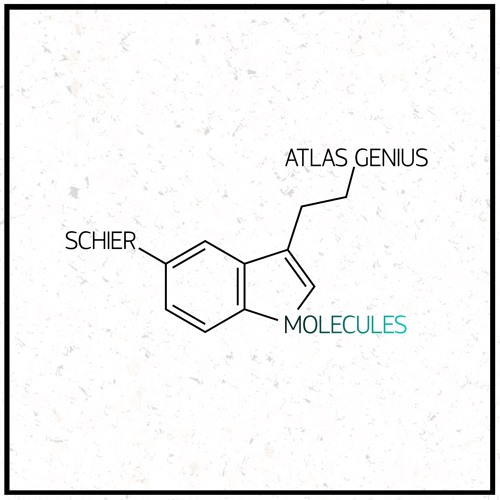 Atlas Genius - Molecules (Schier Remix) by Bonfire Records - Free ...