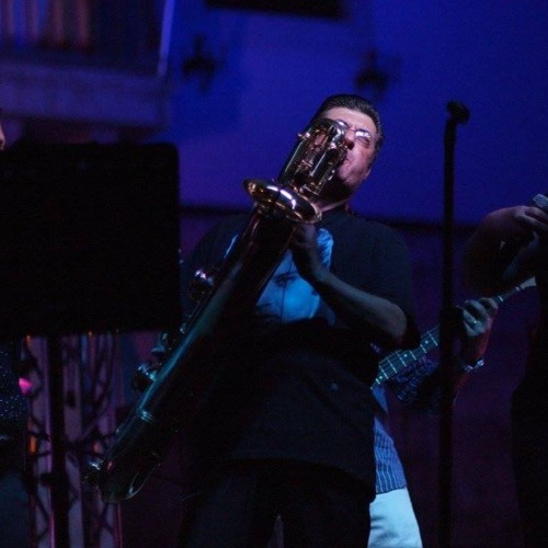 Stream The Pink Panther theme (Bari Sax Gianni Cianfarani) by ...