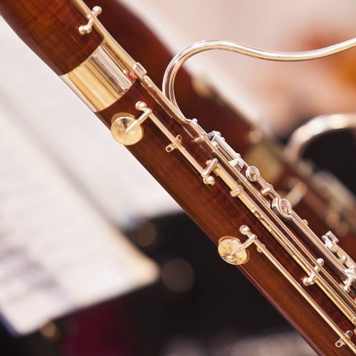 Stream Bassoon Concerto mov 3 (extracts) by Jeremy Pike | Listen online ...