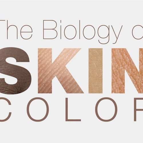 Stream The Biology Of Skin Color — HHMI BioInteractive Video - YouTube ...