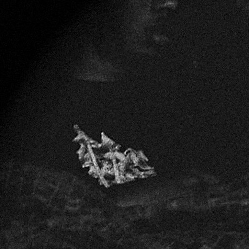 Stream KAMIYADA - WHEN THE LEAVES FELL [The Virus Remix] by The Virus ...