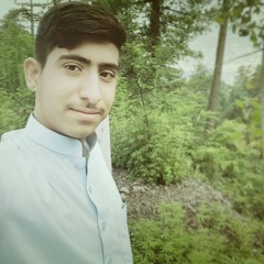 Ammar Shah's Instagram, Twitter & Facebook on IDCrawl