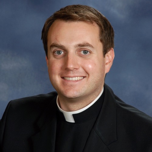 Stream Immaculate Conception | Listen to Homilies by Fr. Sean Prince ...