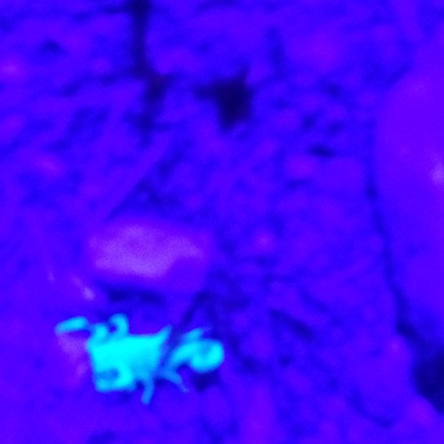 Stream Stuart McCann - Rosie by Stuart McCann | Listen online for free ...