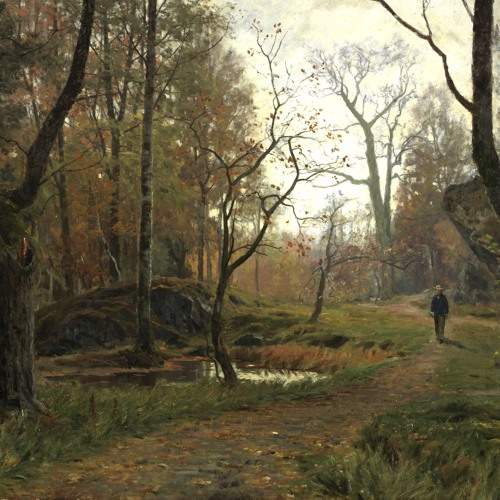 Stream Morgonstemning ved vatn by Sindre Eide | Listen online for free ...