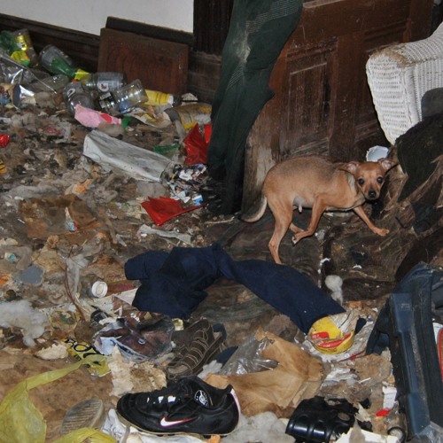 Stream mikenike504 | Listen to Filthy House playlist online for free on ...