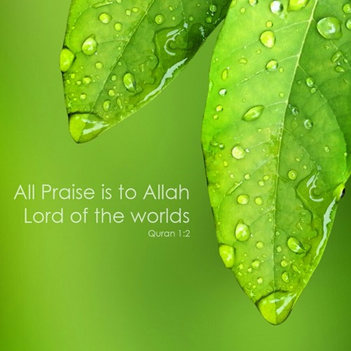 Stream user349856133 | Listen to Ya Rabbi playlist online for free on ...