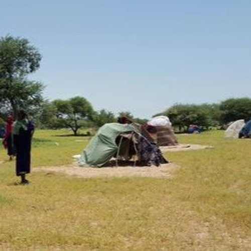 Stream Toby Lanzer on climate, migration, poverty & Boko Haram violence ...