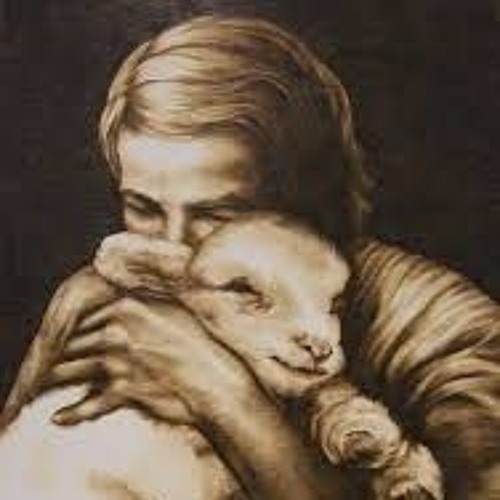 Stream Shepherd - Amanda Cook & Bethel Music by Vivian A. Elmery ...