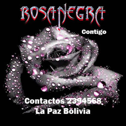 Stream Contigo by Grupo Rosa Negra | Listen online for free on SoundCloud