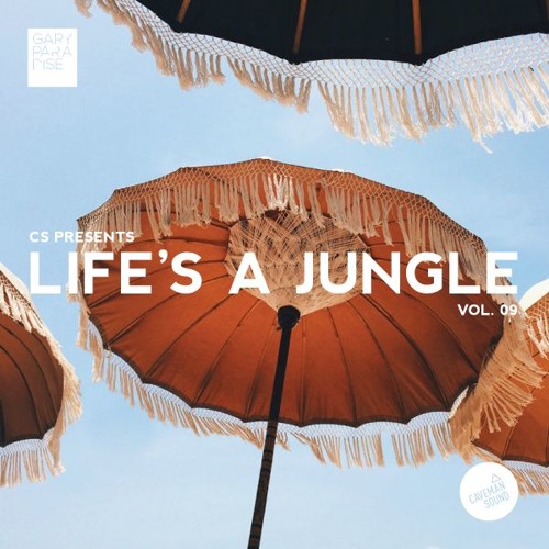 Stream LIFE'S A JUNGLE | Vol. 09 by Gary Paradise | Listen online for ...