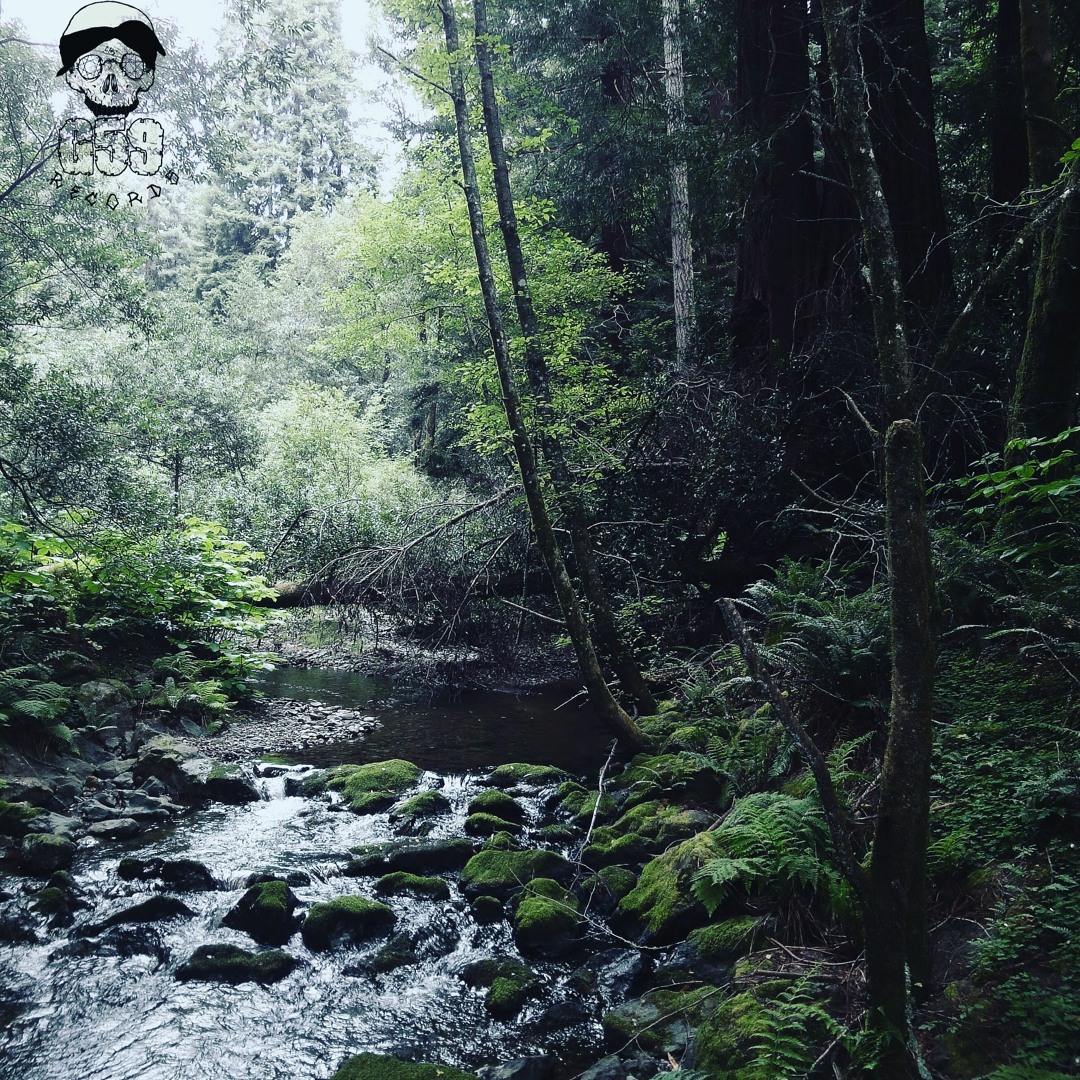 Stream reyhaniali | Listen to edfghj playlist online for free on SoundCloud