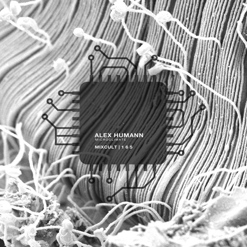 Stream MixCult Radio Podcast # 165 Alex Humann - Microclimate (2015) by ...