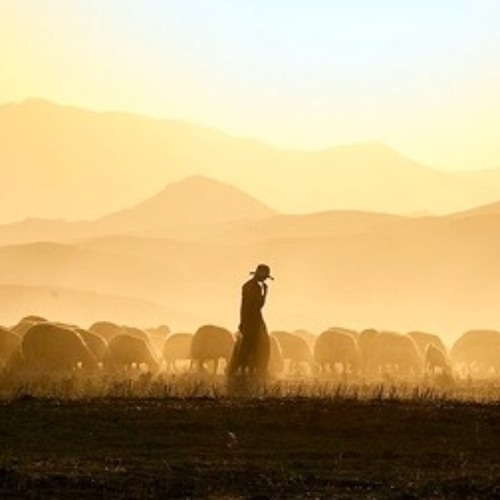 Stream Psalm 23 - Movement 4 - Surely Goodness and Mercy - Robert ...