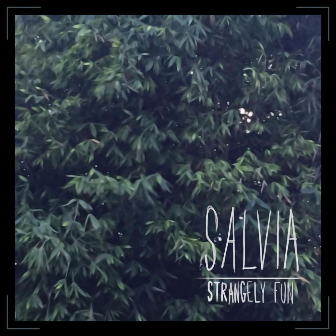 Stream Acid Loop by Diego Jasso | Listen online for free on SoundCloud