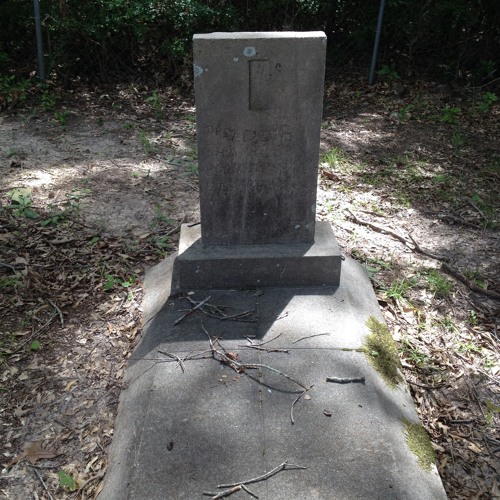 Stream Noiseferatu, The Moment by Sam Delaune | Listen online for free ...