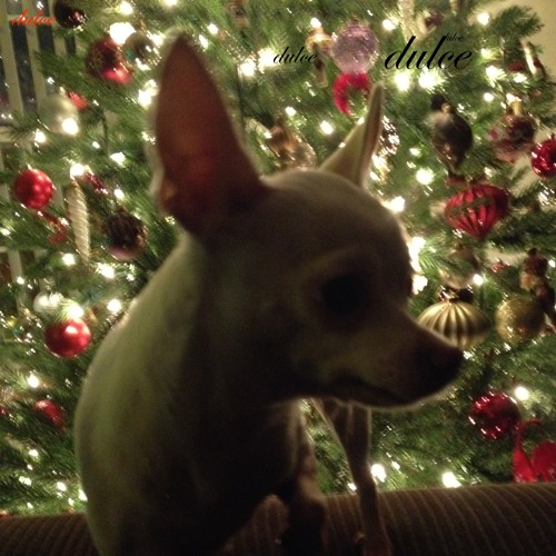 Stream Stub Your Toe (Pavement Cover) by CROWDS- | Listen online for ...