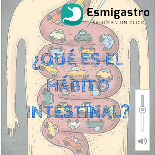 Stream ¿Qué es tránsito o hábito intestinal? by Esmigastro | Listen ...