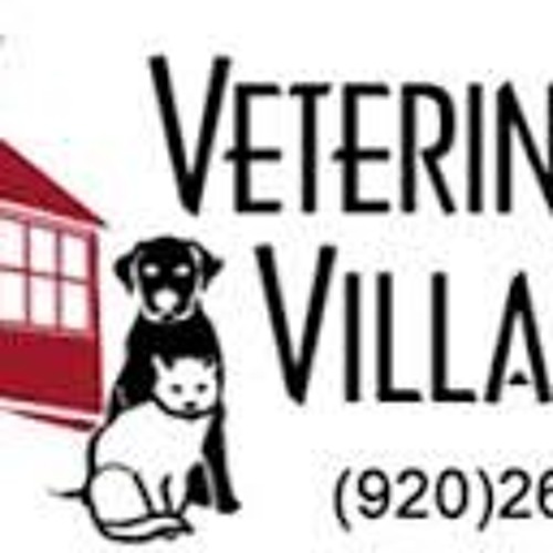 Stream Dr Marty Greer From Vet Village 11 25 15 By Radioplusaudio