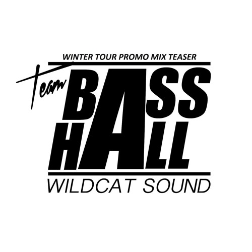 Stream WILDCAT SOUND 4 TEAM BASSHALL - WINTER TOUR PROMO MIX TEASER by ...