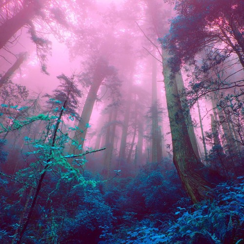 Sex Drugs And Camping By Gojii Free Download On Toneden