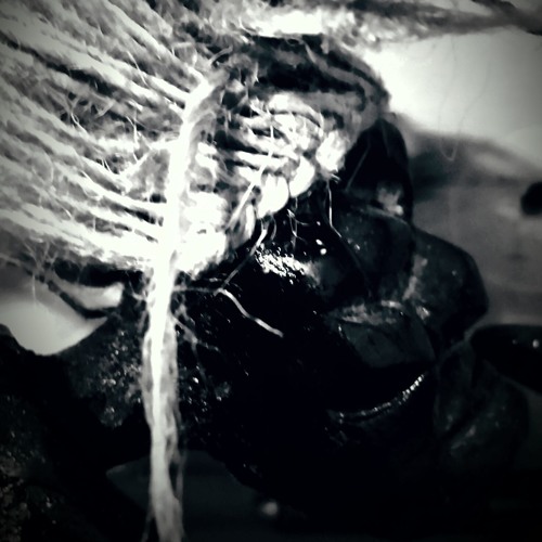 Stream Addison Payne | Listen to Tribute playlist online for free on ...