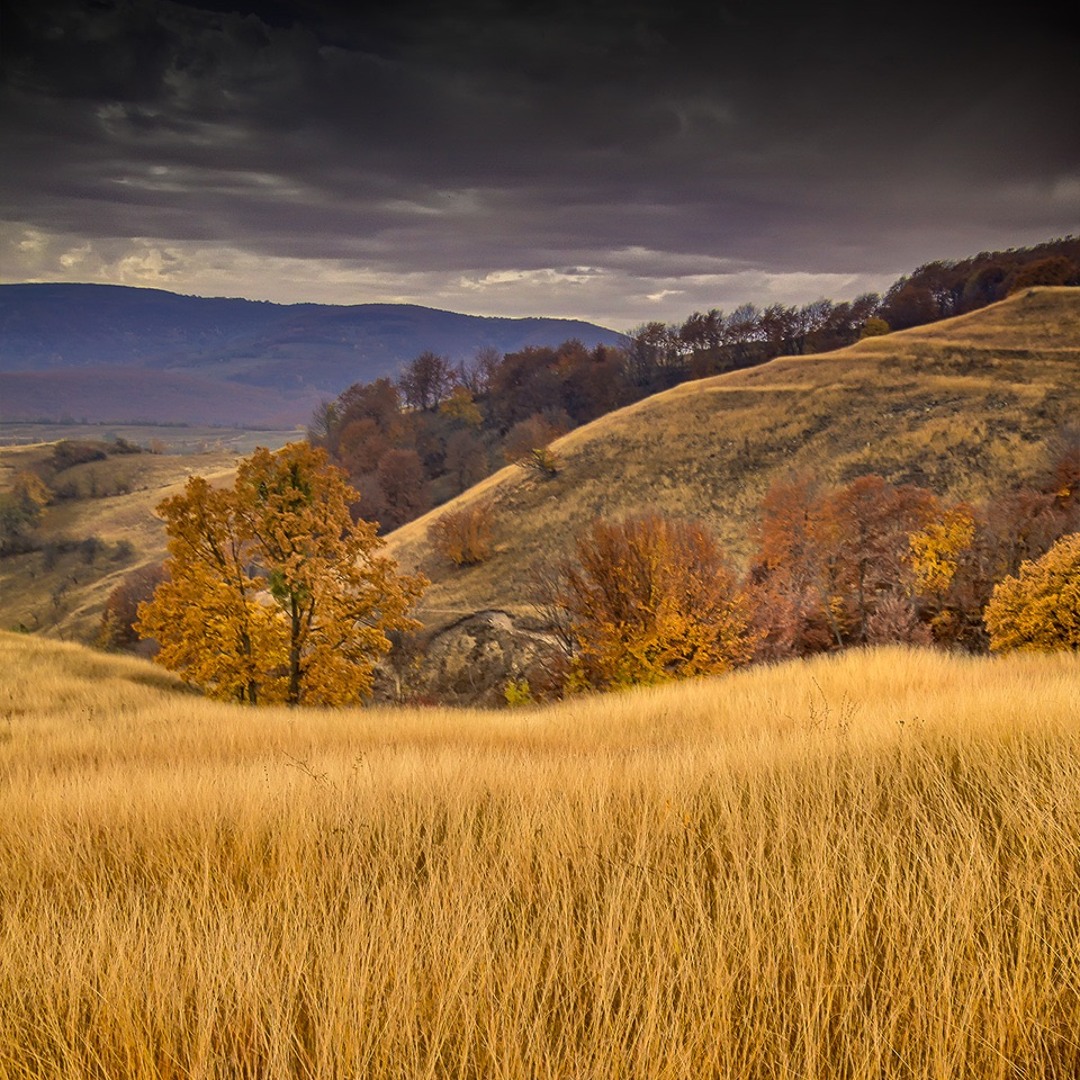 Stream Andrew Souter -- The Harvest by Andrew Souter | Listen online ...