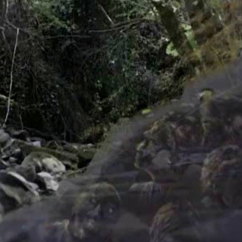 Stream Castaway aesthetic by Aitor M | Listen online for free on SoundCloud