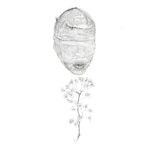 Stream Walking With Titans By The Pop Ritual Listen Online For Free