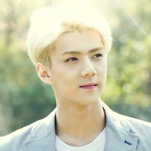 Exo M Sehun