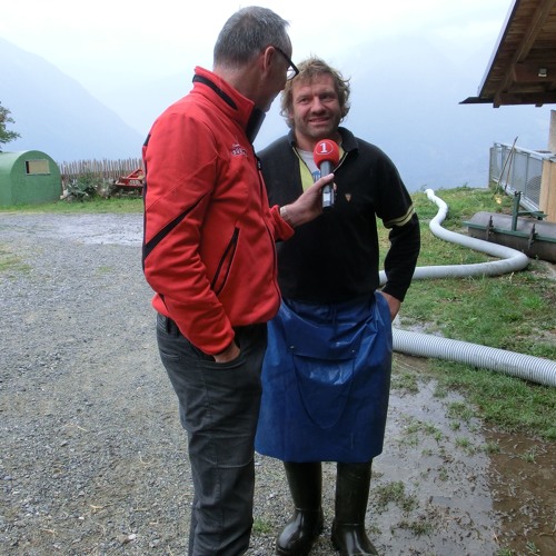 Stream Radiointerview mit Anja und Georg Theiner September 2015 by ...