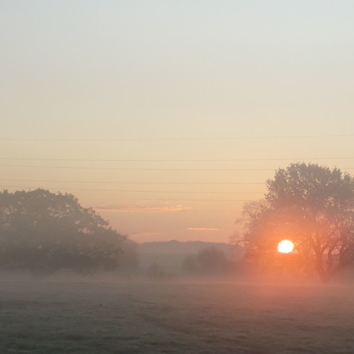 Stream Perfect Motion With Zoe Durrant by a thing called love | Listen ...