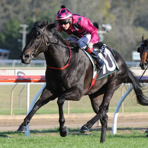 Stream FRIDAYFILLUP.WMA by Friday Fill Up | Listen online for free on ...