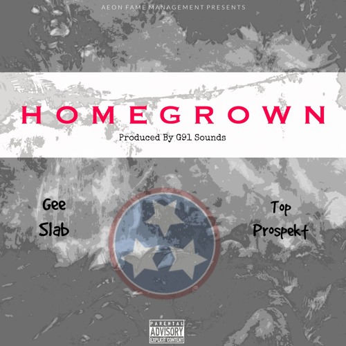 Stream HOMEGROWN(produced By G91 Sounds) by Gee Slab | Listen online ...