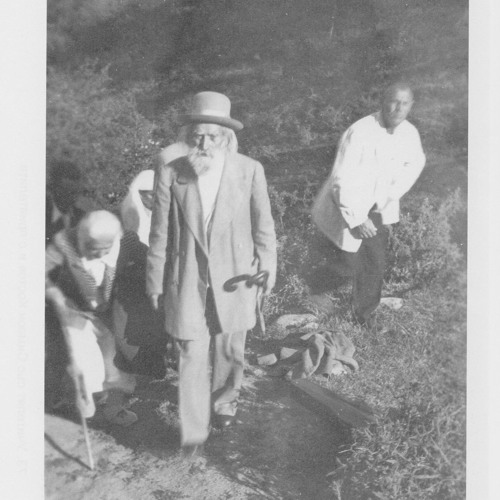 Stream Beinsa Duno | Listen to НБ "Сила и Живот" Том 8 - 1924г ...