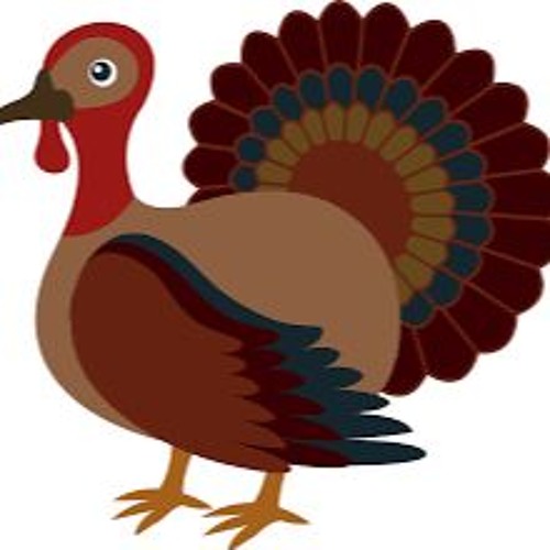 Stream Work Out World - Tom Turkey One Dollar Down radio commercial by ...